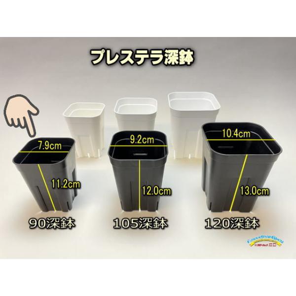 プレステラ深鉢 プレステラ深型サイズ：外径φ約9.2cm×高さ8.3cm鉢底の1辺：5.5cm鉢底の対角線：6.9cm根のルーピングを防止します！排水用の縦スリットが8ヶ所切ってありますから水はけ抜群で根が元気に育ちます！＠多肉植物・塊根植...