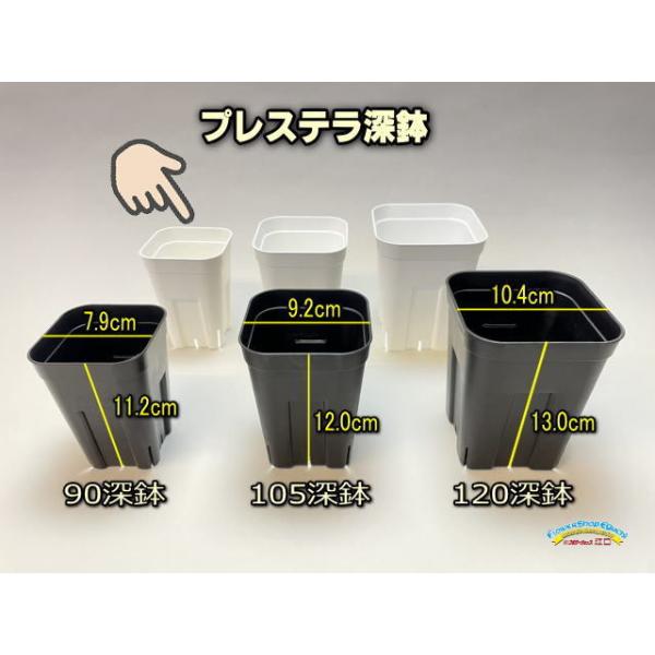 プレステラ深鉢 プレステラ深型サイズ：外径φ約9.2cm×高さ8.3cm鉢底の1辺：5.5cm鉢底の対角線：6.9cm根のルーピングを防止します！排水用の縦スリットが8ヶ所切ってありますから水はけ抜群で根が元気に育ちます！