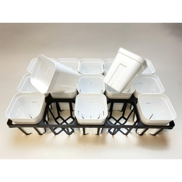 多肉植物やサボテン、ミニ観葉が似合う！トレイ1枚＋15鉢付きで1セットトレイのサイズ：(約)53×32×高さ9.9cm(15鉢用)