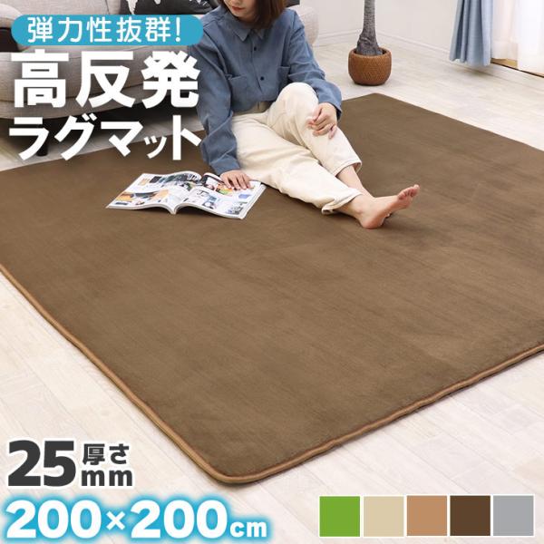 ＜仕様＞商品名　極厚高反発ラグ（抗菌防ダニ加工）サイズ　200x200cm※サイズは±3％程度の誤差が生じますので、予めご了承ください。素材表地：高密度マイクロファイバー中材：高密度高反発ウレタン裏面：不織布(PVC点滑り止め)備考　開封後...