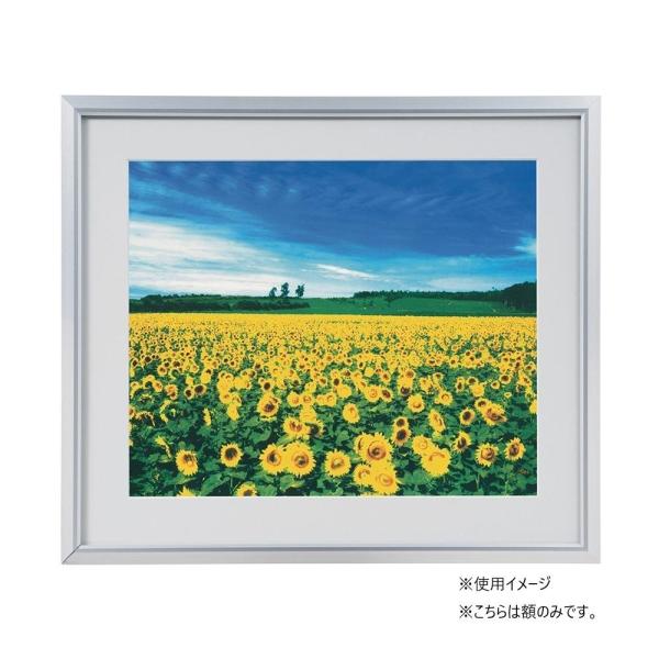 軽量で割れにくい写真額縁です。