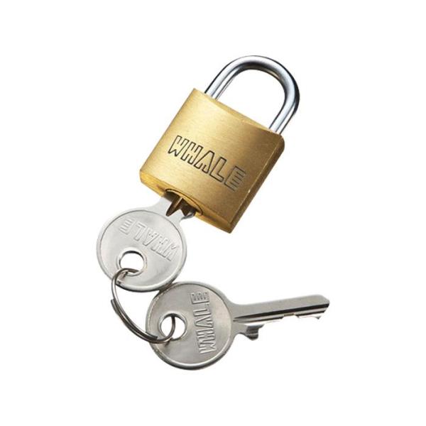 取り付け部品、またはワイヤーに接続する南京錠です。