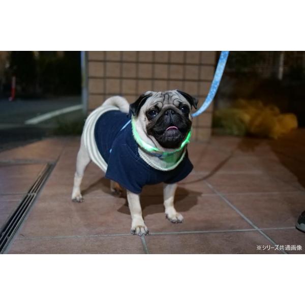 首輪全体が光って夜道も安心のお散歩ライトです。USB充電式で、パソコンやACアダプターから充電ができます。高速フラッシュ(点滅)・フラッシュ(点滅)・ブライト(点灯)の3パターンの光り方がスイッチひとつで選択可能。サイズ調節もできます。