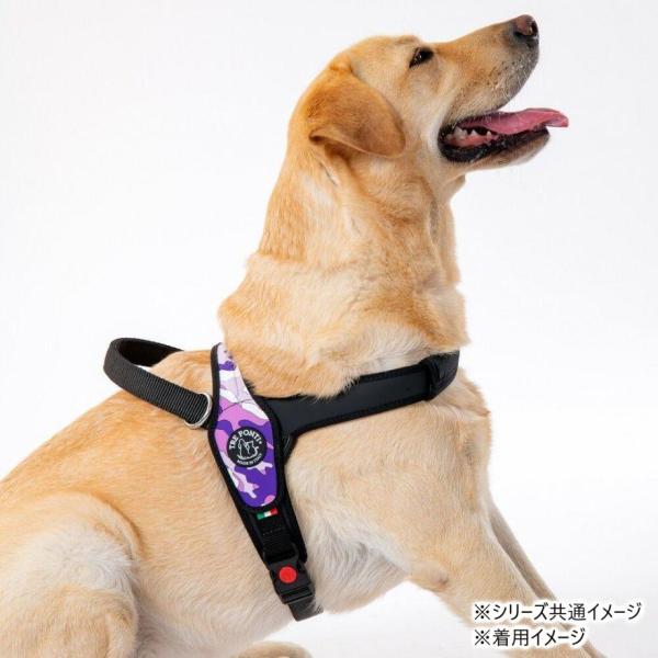 愛犬のあらゆる動きを妨げないように設計されており、背面のハンドルで急な動きもコントロールできます。前胸にはソフトパッド付き。洗練されたデザインはスイム等のアクティブなスポーツにも適しています。バックルにはロック機能付きで安心。素材は軽量・丈...