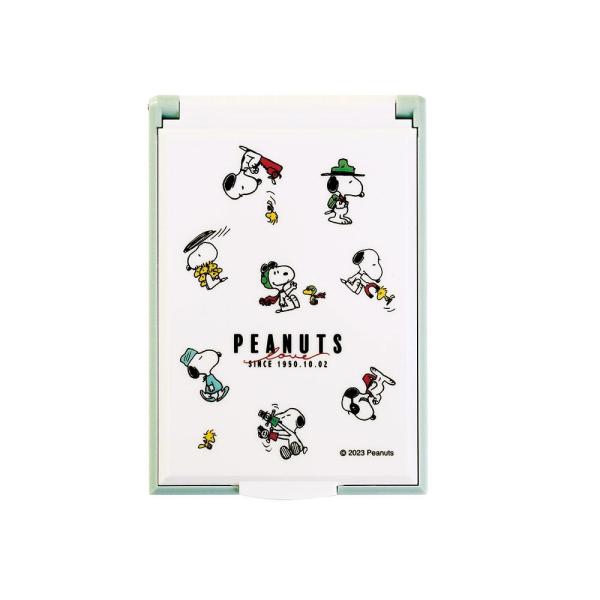 コンパクトサイズのカードミラーです。持ち運びに便利です。