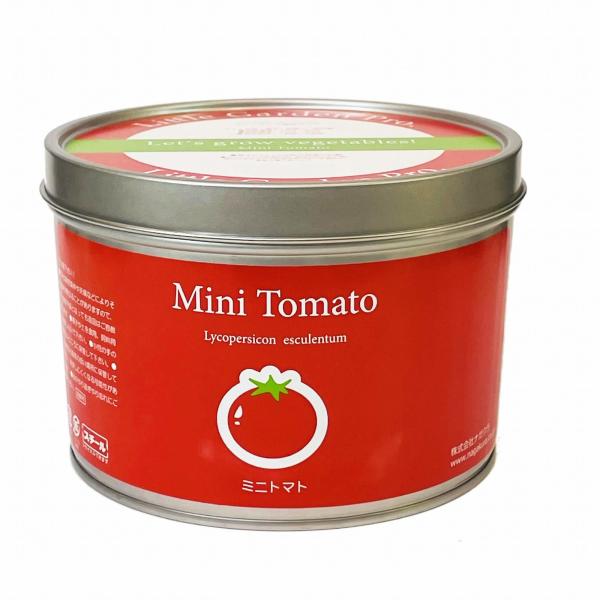 大きめの缶なので、栽培も楽々。陽当たりの良い窓際なら、一年中栽培出来ます。