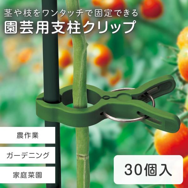 ＼作業効率UP！／・植物の成長を助ける園芸用の誘引クリップ・片手で付け外しができて作業の効率が一気にアップ!・長時間日光に当たっても白く劣化しにくい素材を使用しているため、野外での農作業にぴったり◎・つるやネット紐もまとめて留められるので、...