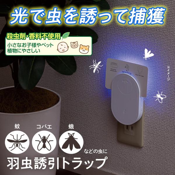 ＼イヤな羽虫を光で捕獲／・粘着プレートが寄ってきた虫を逃さず捕獲！・殺虫剤や香料不使用！・小さなお子様、ペットがいるご家庭にも◎【サイズ】本体:約12×7.3×3.6cm、捕虫プレート:約11×7cm【仕様】交換目安:約1〜2ヶ月【セット内...