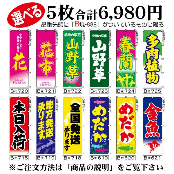 　※※※--　5枚組をご注文前に　--※※※ご注文前確認として「ストアに質問する」を押して頂き【品番】【タイトル】【枚数】をお知らせ下さい。（電話090-9587-6160でも受付可能）（折り返しますので1〜2コール鳴らしてください）---...