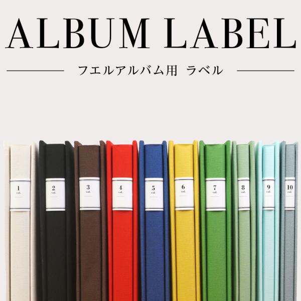 フエルアルバムのビスをゆるめて、背に挟んで使用することで、アルバムの順番をわかりやすく整理できます！●本体寸法：W80×H40mm（10枚セット）●材質：PVCシート