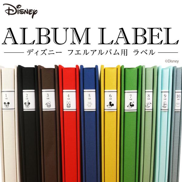 フエルアルバムのビスをゆるめて、背に挟んで使用することで、アルバムの順番をわかりやすく整理できます！かわいいディズニーデザイン！●本体寸法：W80×H40mm（10枚セット）●材質：PVCシート(C)Disney