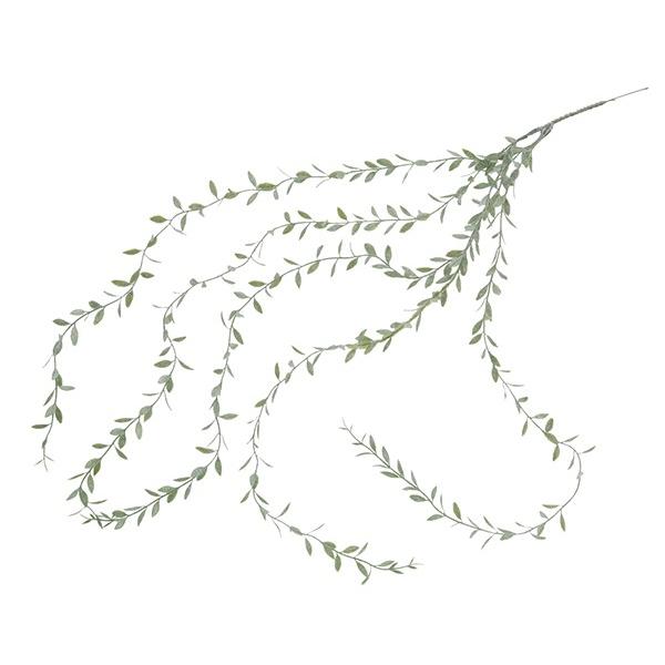 GARDEN／コロラータス