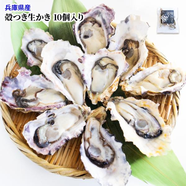 ポイント１,美味しさのピークを冷凍最もおいしい状態の牡蠣をこだわりの製法で旬の時期にまとめて生産。いつでも最高品質の牡蠣をお召し上がり頂けます。ポイント２,使う人の手間暇を考えた使いやすさ面倒な殻を開け、身を外す手間は一切不要です。ポイント...