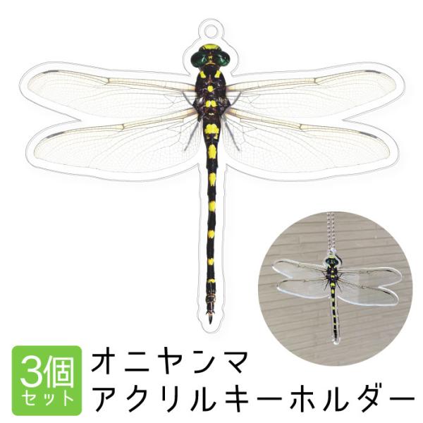 オニヤンマは日本最大トンボで肉食！オニヤンマは害虫であるアブ・ハエ・蚊など飛翔する昆虫を捕食します。昔からオニヤンマがいると虫が寄ってこないとの伝承があります。自然界では胴体の黒と黄色が、危険な色・警戒色なので虫が嫌がるのではという効果を期...