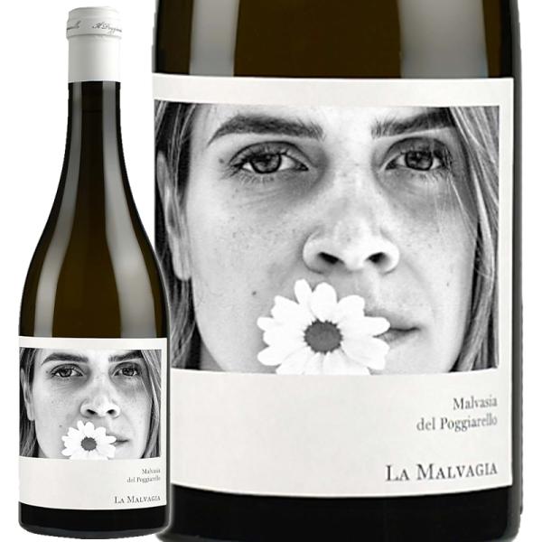 プレゼント ワイン お酒　お土産　誕生日 送料無料 エミリアロマーニャ ピアチェンツァ