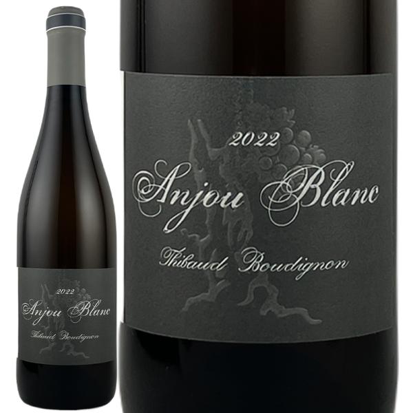 プレゼント ワイン お酒　お土産　誕生日 送料無料 ロワール アンジュー 希少ワイン シュナンブランのスペシャリスト