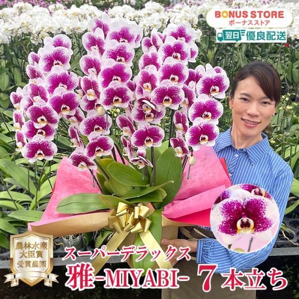 7本立ちは花数も多く、ボリューム感もありますので、大輪とも引けを取らない存在感があります。花の大きさ：10〜11cm全高：80〜85cm個性的でとてもおしゃれな雰囲気のお花です。「ホワイト×ワイン」のラッピングや「ホワイト×ゴールド」のラッ...