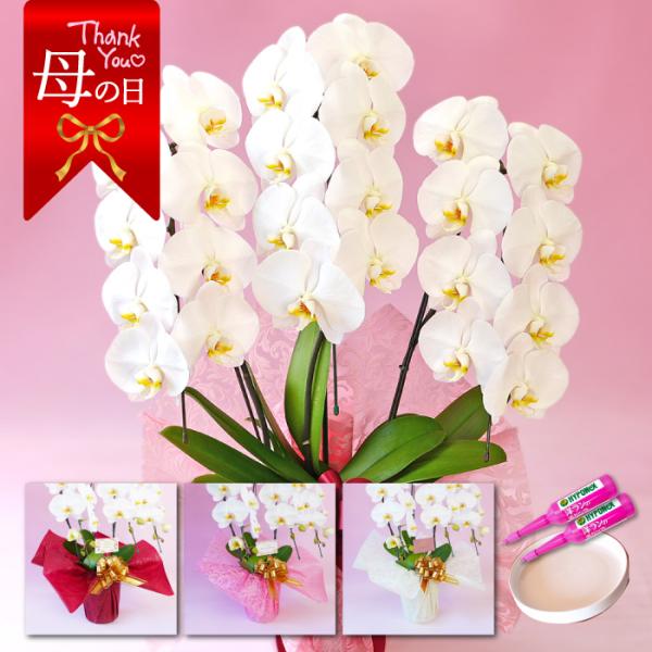 【発売日：2026年03月12日】【母の日ギフト専用商品です】●お届け日のご指定はできません。●5月5日〜5月10日のいずれかに、心を込めてお届けいたします。●「画像送信サービス」は対象外となります。●「オリジナルメッセージ」の記載はできま...