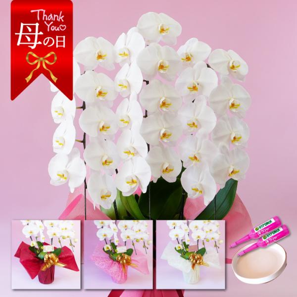 【発売日：2026年03月12日】【母の日ギフト専用商品です】●お届け日のご指定はできません。●5月5日〜5月10日のいずれかに、心を込めてお届けいたします。●「画像送信サービス」は対象外となります。●「オリジナルメッセージ」の記載はできま...