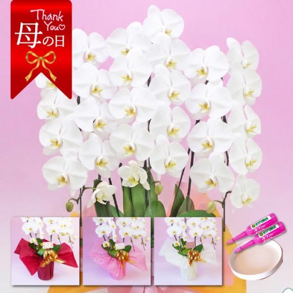 【発売日：2026年03月12日】【母の日ギフト専用商品です】●お届け日のご指定はできません。●5月5日〜5月10日のいずれかに、心を込めてお届けいたします。●「画像送信サービス」は対象外となります。●「オリジナルメッセージ」の記載はできま...