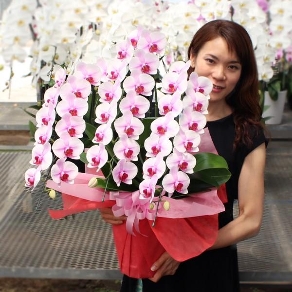 花の大きさ：10cm　全高：65〜80cm綺麗に花が並ぶ品種ですので全体的なボリューム感もあります。お祝い系のラッピングとの相性も抜群です。1本あたり12輪以上付きます。※金額の分かる納品書、請求書、領収書等は同梱されません。