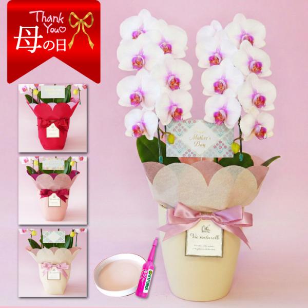 【発売日：2026年03月12日】【母の日ギフト専用商品です】●お届け日のご指定はできません。●5月5日〜5月10日のいずれかに、心を込めてお届けいたします。●「画像送信サービス」は対象外となります。●「オリジナルメッセージ」の記載はできま...