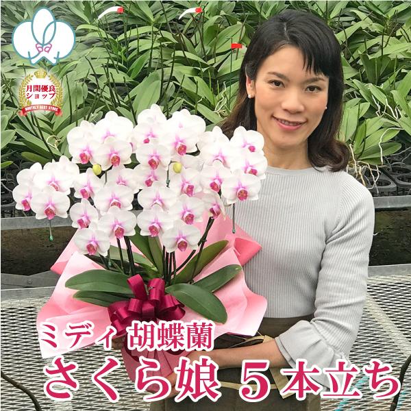 サイズ 花の大きさ：約8cm全高：50〜60cm明るくほんわかした雰囲気の「さくら娘」。派手な感じではないものの、優しく明るい雰囲気でこころを癒してくれます。5本立ちですのでお花の数も多く、コンパクトながらも華やかです！※金額の分かる納品書...