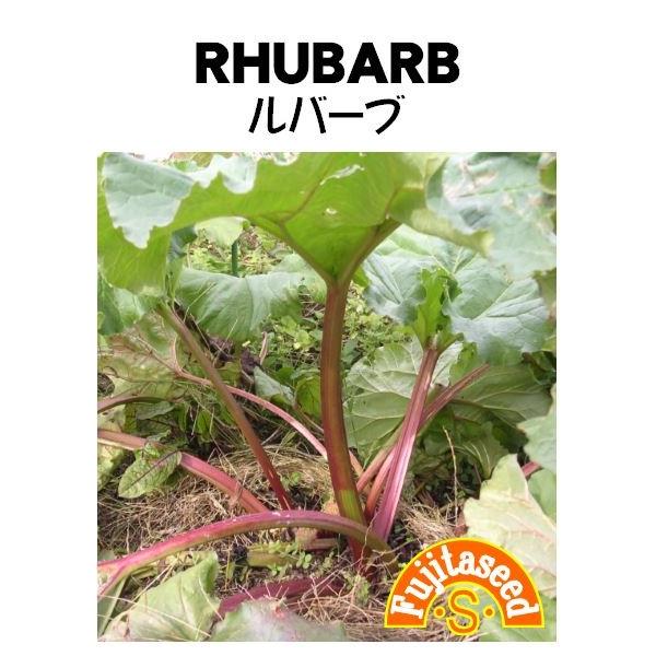 【栽培方法】　　　多年性の宿根草で、性状はフキに似て、葉は大きく、葉柄も長大で、３０cmぐらいに伸びます。ルバーブの仲間では作りやすい品種で、どこでも作れますが、特に冷涼で排水が良く、有機質を多く含んだ埴壤土または壤土が適します。　一般野菜...