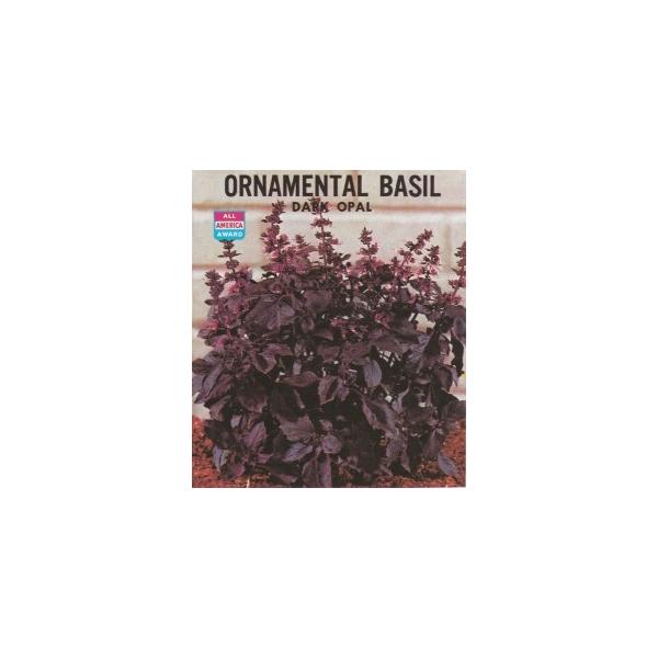 【利用方法】シソ科の １ 年草。葉は暗紫色で花はピンク。葉・茎を料理やハーブティーに利用します。葉色を活かしビネガーやオイル、リキュールの色付け、香り付けにも使われています。艶やかな姿は花壇にもおすすめです。　＊本種は品種の特性上、緑色が約...