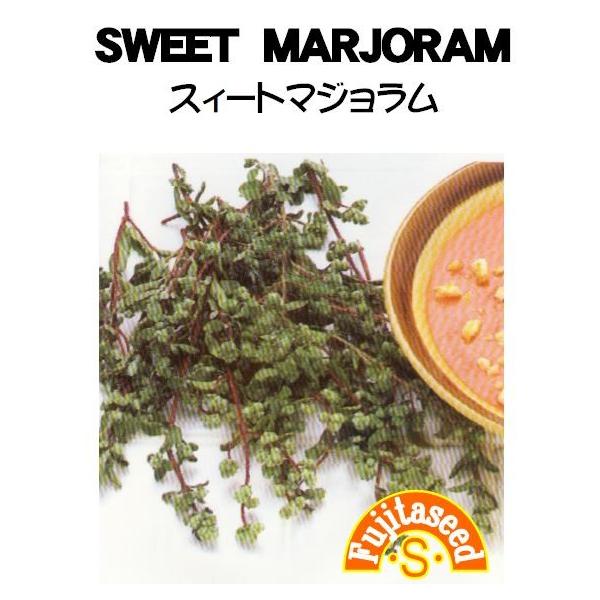 【利用方法】シソ科の多年草で、草丈は約２５〜５０センチになります。香りの良いハーブとして知られ、生葉または乾燥葉ともに料理の風味づけとして利用できます。肉や魚料理、スープ、ピクルス、サラダなどに使う他、ポプリとして使うのもおすすめです。【ま...