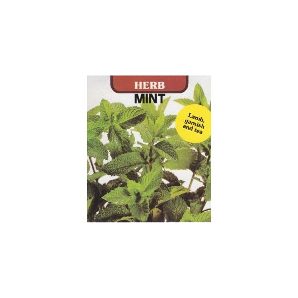 【栽培方法】【栽培方法】　　　　　種が細かいので、発芽するまでは乾かさない程度に霧吹きで水かけを行います。本葉５〜６枚頃定植します。【利用方法】シソ科の多年草で開花は７〜９月頃、淡紫色の花をつけます。スペアミントより強い香りがします。葉を水...