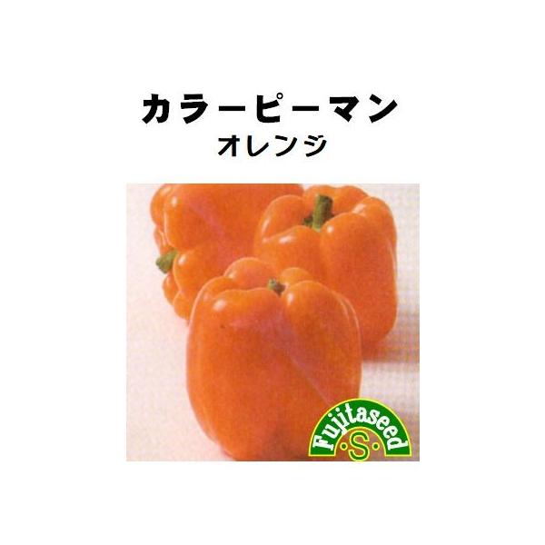 【栽培方法】普通のピーマンと同様に、株間５０ｃｍで育てます。着果後、オレンジ色になるまで日数がかかりますので、待ちきれない場合は早期収穫も可能です。そうすれば着果数は増え、多く収穫することが出来ます。【利用方法】　甘味があり、サラダ料理など...