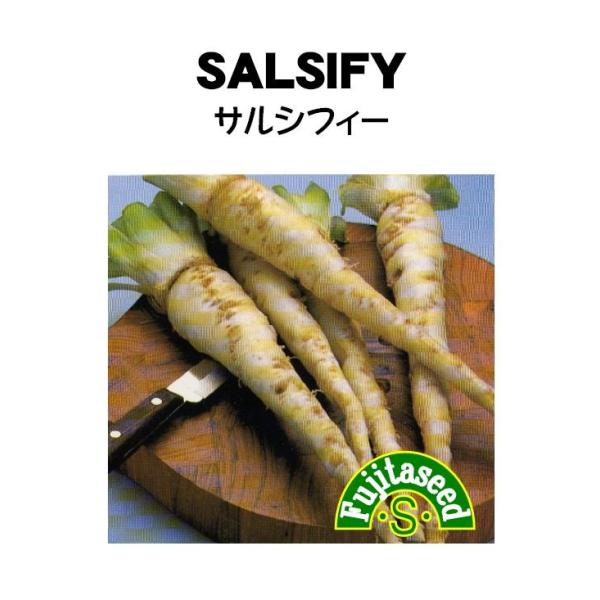 【栽培方法】１.ニンジンと同じように砂質土壌が最も適します。２月末〜３月まだ霜が降りる頃に、深耕後よく乾いた畑に直播きし３cm位に浅く覆土します。生育が遅いので地温の許すかぎり、なるべく早播きするようにして下さい。発芽までは小まめに潅水して...