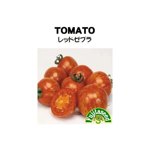 【栽培方法】１、一般のトマトと同じように栽培します。過湿に弱いので高畦にし、水はけ・風通しを良くします。２、元肥にカルシウムを十分に施します。本葉５〜６枚の頃、６０ｃｍ間隔で定植します。【利用方法】外皮が黄金色の縞模様のある、作り易く、米国...