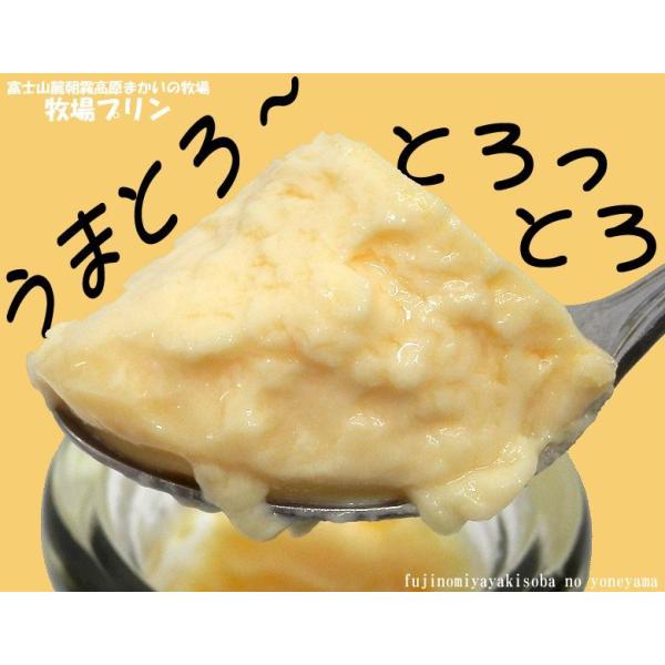 口の中に入れた瞬間”とろっとろ”のおいしさ！牧場の牛乳をふんだんに使用した濃厚な風味をお楽しみいただけます。【商品名】牧場プリン【原材量】牛乳、鶏卵、卵黄、生クリーム、砂糖【内容量】90g×10個【消費期限】製造日プラス4日間【保存方法】（...