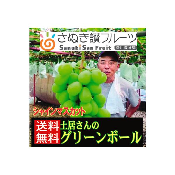 【産地直送品・送料込】フレッシュなチルド便お中元におすすめ　お中元最適ギフト出荷時期　7月21日〜8月28日頃☆お届け日数の情報は出荷時期期間中の日数です●1房入（700g以上）　●化粧箱入り（箱サイズ24×16×11cm）●果皮のカスリは...