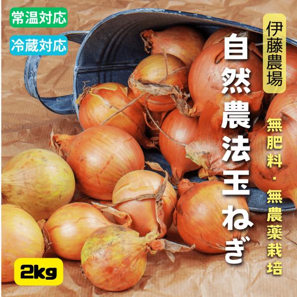 北海道産無農薬・無肥料栽培の完全自然農法玉ねぎ