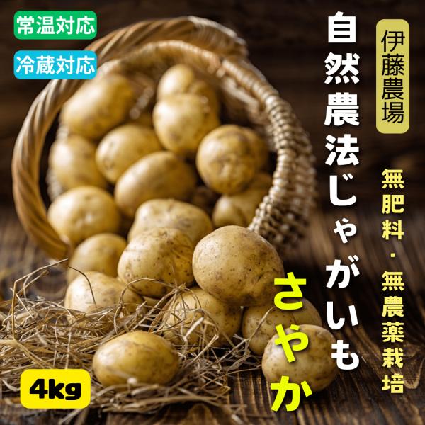 北海道産無農薬・無肥料栽培の完全自然農法ジャガイモ・男爵