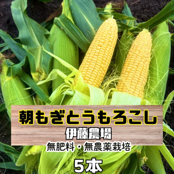 【発売日：2026年09月12日】