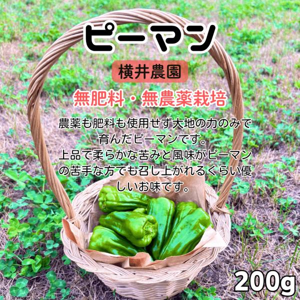 【発売日：2026年09月12日】