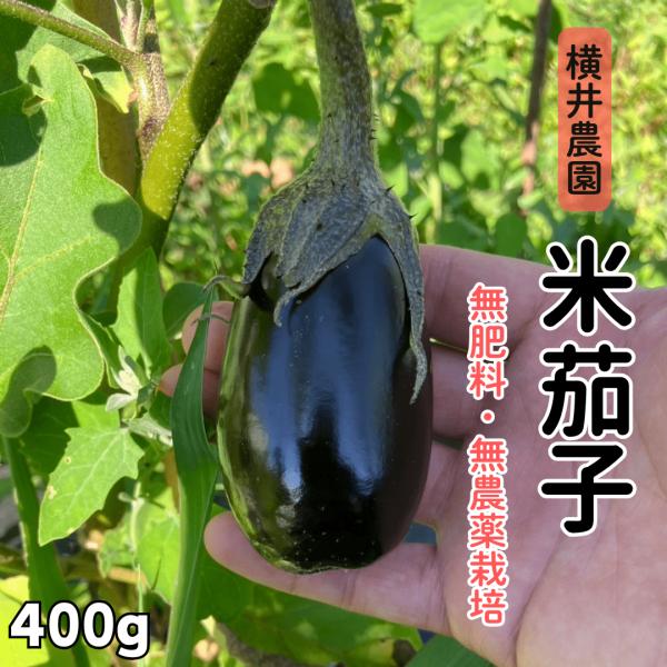 【発売日：2026年09月12日】