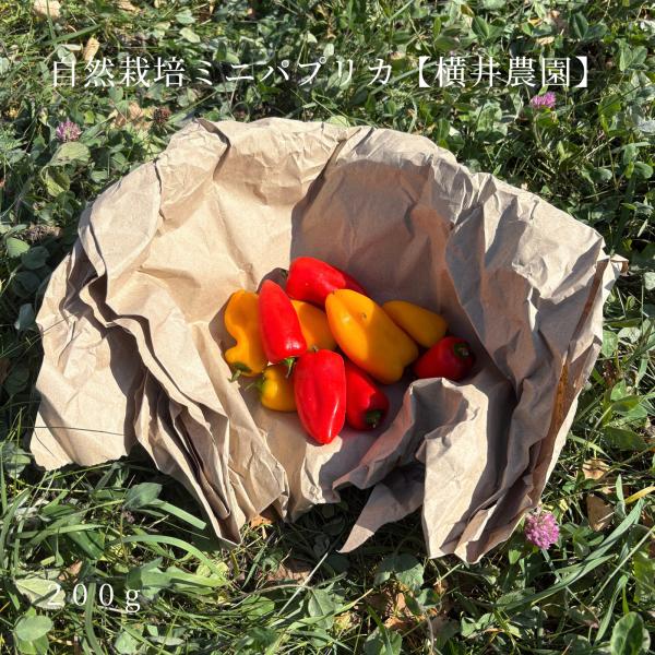 【発売日：2026年10月16日】丸ごと、半分に。赤と黄が混ざって届きます。彩りに使える、使い切り200gのミニパプリカ。北海道網走郡津別町、横井農園のミニパプリカです。赤と黄を混ぜて200gでお届けします。横井さんは約1ヘクタールの畑で、...