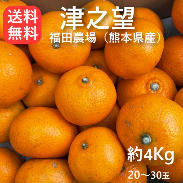 【他の商品との同梱は不可となります】「津之望（つののぞみ）」は、清見（きよみ）とアンコール(オレンジ)の交配種です。果肉は濃いオレンジ色で、やわらかくて多汁。酸味は少なく、甘みが強くて（糖度12度前後）、南国を感じさせる香りと果汁が多いのが...