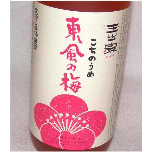 商品名：東風の梅容量：720mlアルコール度数：12度製造元：大賀酒造　[福岡県]配送：常温便