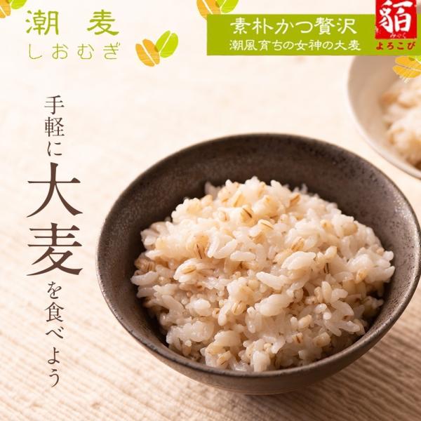 いただき繕自社農苑で無農薬栽培された大麦です。スコットランドの潮風をたっぷり浴びて育った生命力あふれる『潮麦』水溶性食物繊維が豊富で腸内環境を整えてくれます。白米と混ぜて大麦ごはんとしてはもちろん、野菜と混ぜてサラダにいれたり、カレーや麻婆...