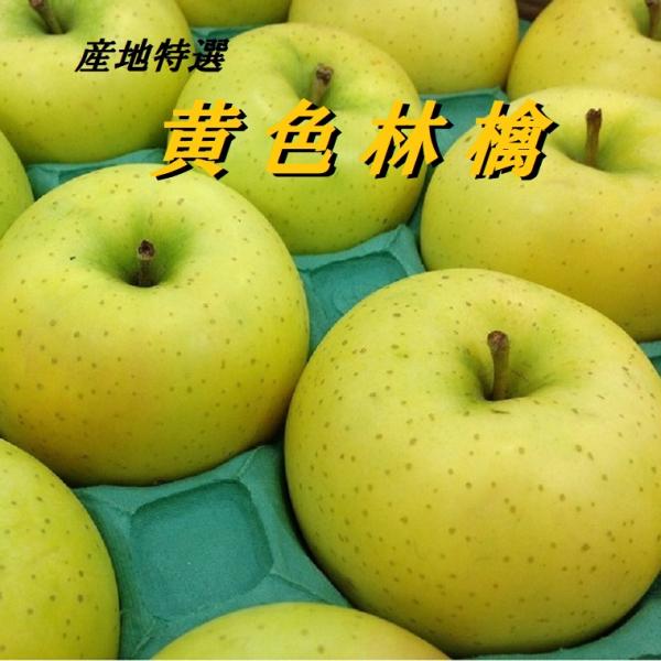 【黄色りんご】秀大玉８〜９玉化粧箱名月・黄王・トキ・王林等 おまかせ 長野・青森・群馬産等厳選産地 国産 果物ギフト フルーツセット　