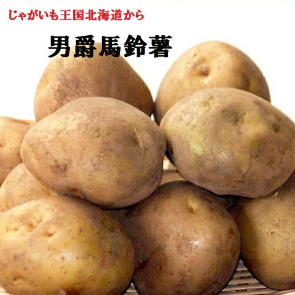 北海道産 じゃがいも 男爵 サイズ指定なし 1.5kg〜10kg