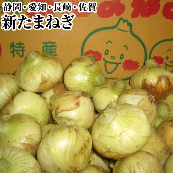 国産 新たまねぎ 旬の時期に旬の産地でお届け！たまねぎ 玉ねぎ 春野菜