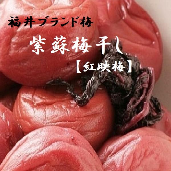 福井梅 紅映梅使用 しそ梅干し 種が小さく果肉が豊かでしっかりした味わいの梅干し。国産 無添加 天日塩