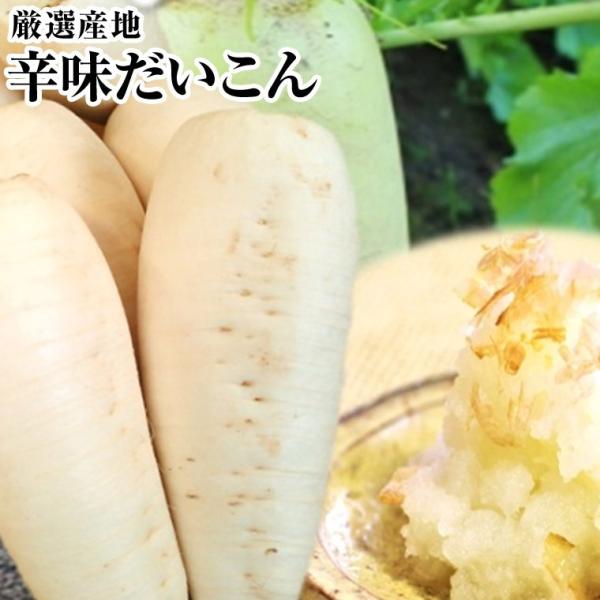 ●この商品につきましては、入荷予定が不安定な為、期日指定をお受け出来ませんので何卒ご了承下さい。●保管方法・・・冷暗所で保管してください。カットしたものは、新聞紙で包んで冷蔵庫で。